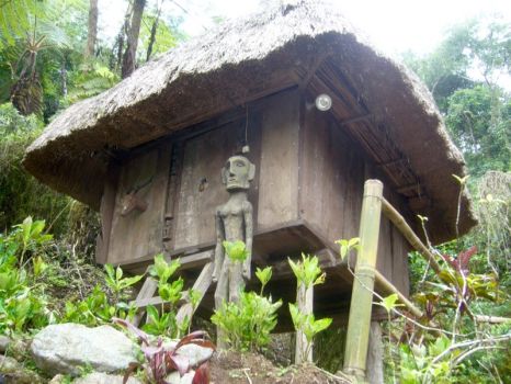 Solve Igorot House jigsaw puzzle online with 12 pieces